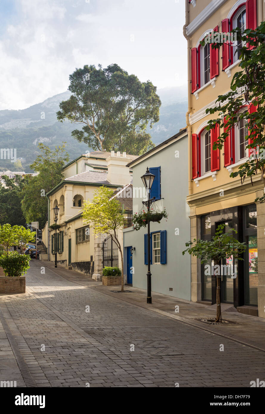 STREET SCENE WITH EUCALYPTUS TREE GIBRALTAR Stock Photo - Alamy