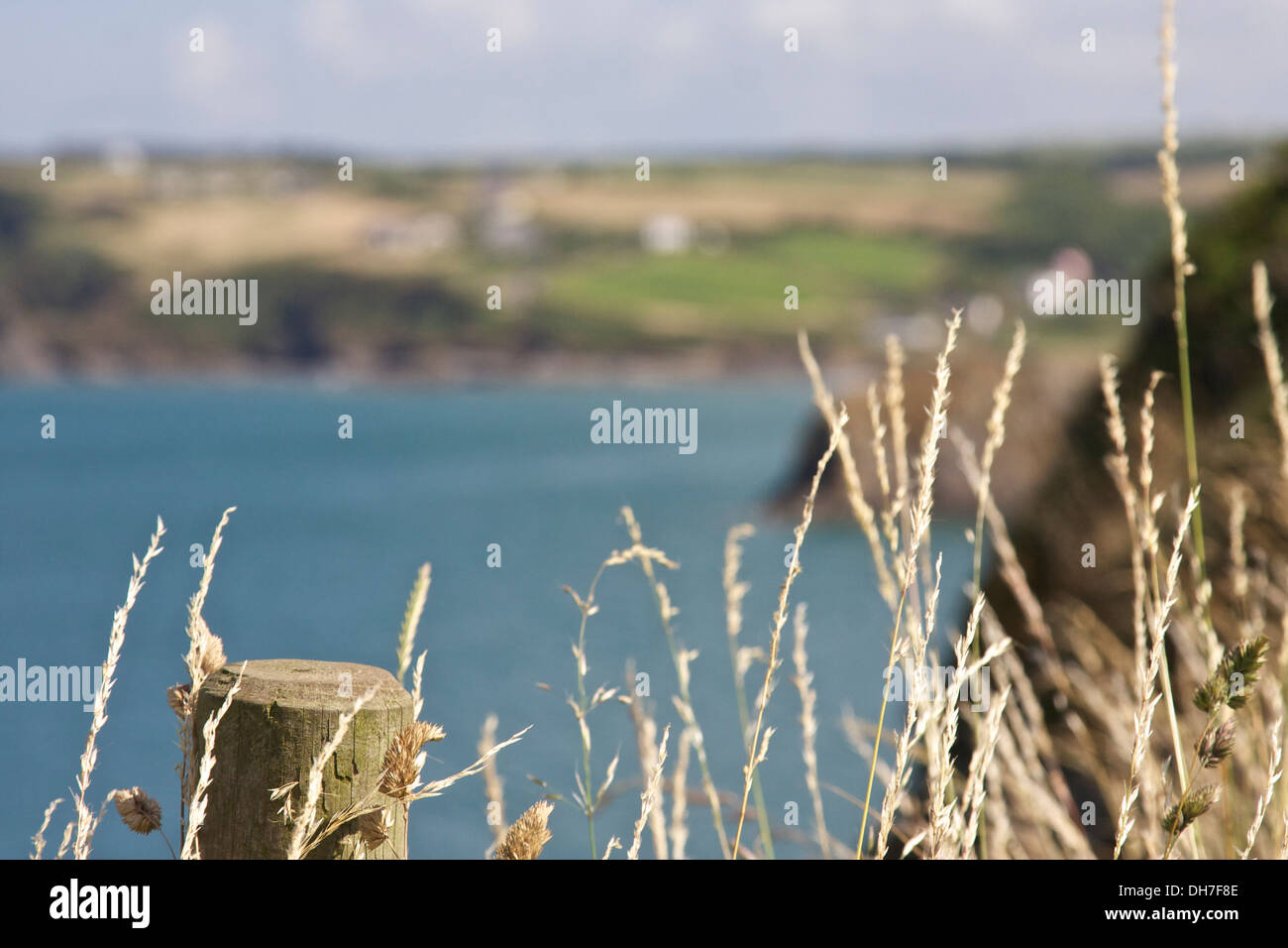 Closeup of cliff edge grasses and fence post in front of blurred ...