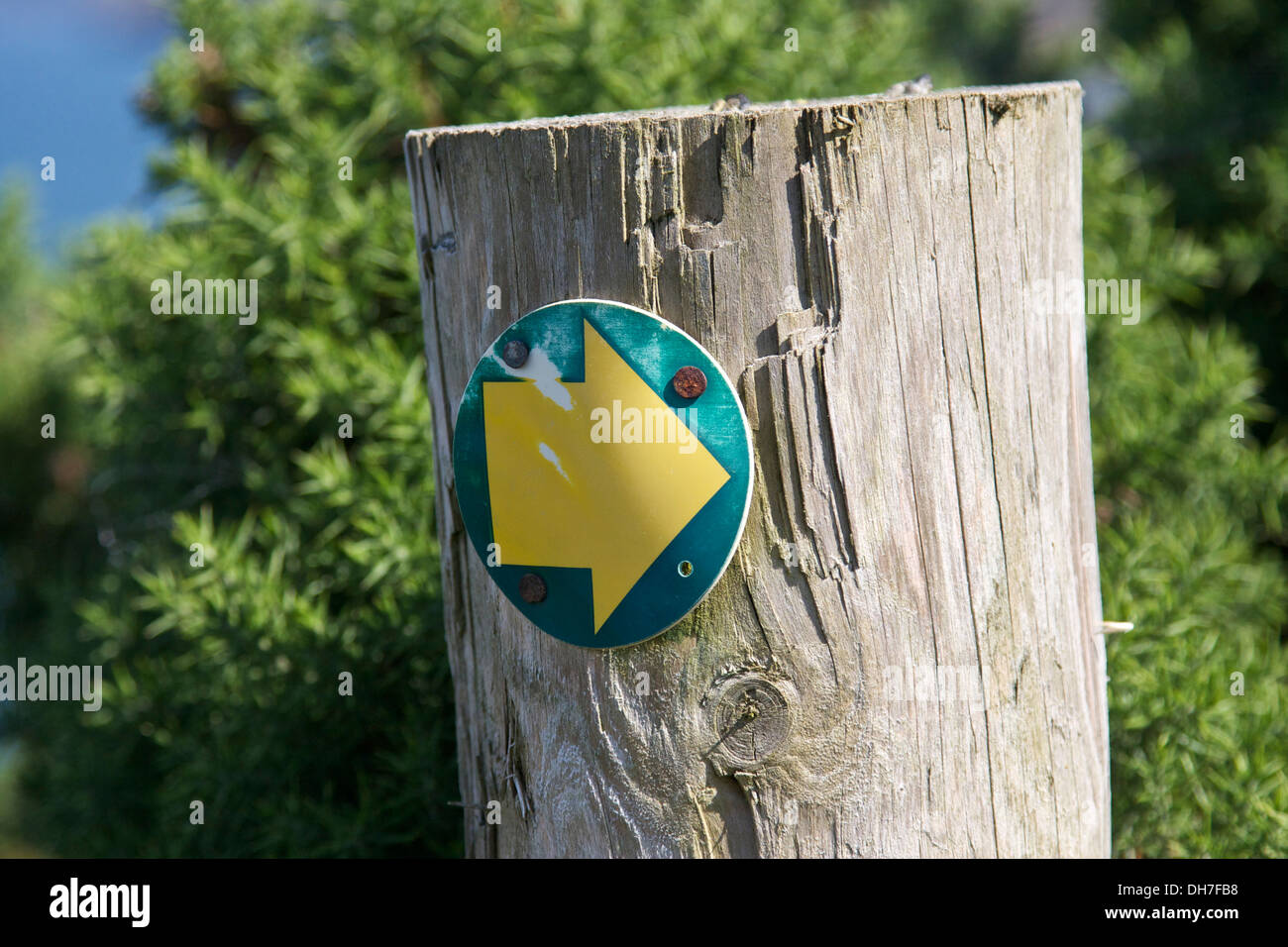 Coastal path directional arrow on weathered wooden post Stock Photo - Alamy