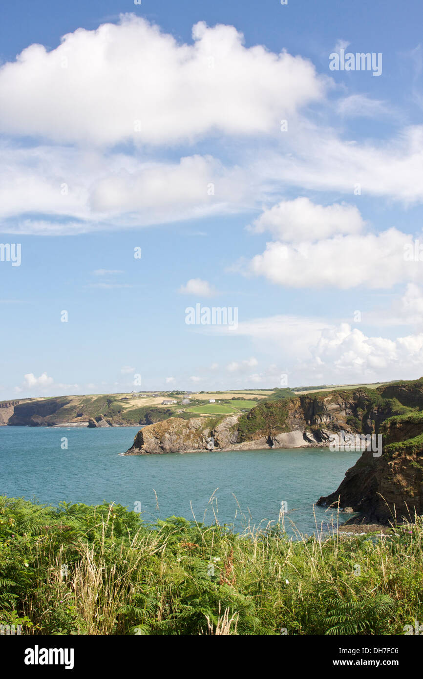 Sea and cliffs viewed from coastal path Stock Photo - Alamy