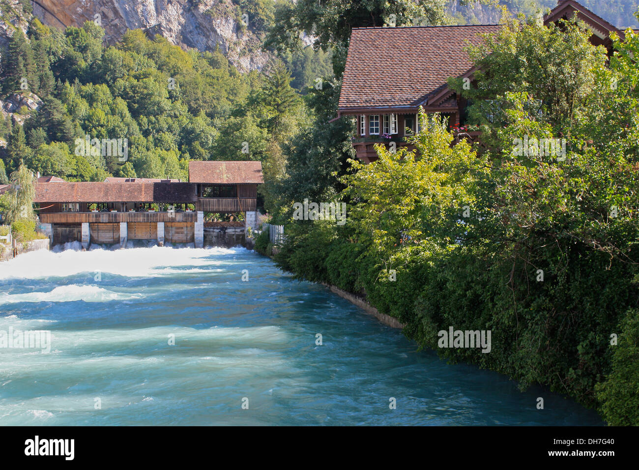 Blue mountain river flowing through lush green picturesque Interlaken ...