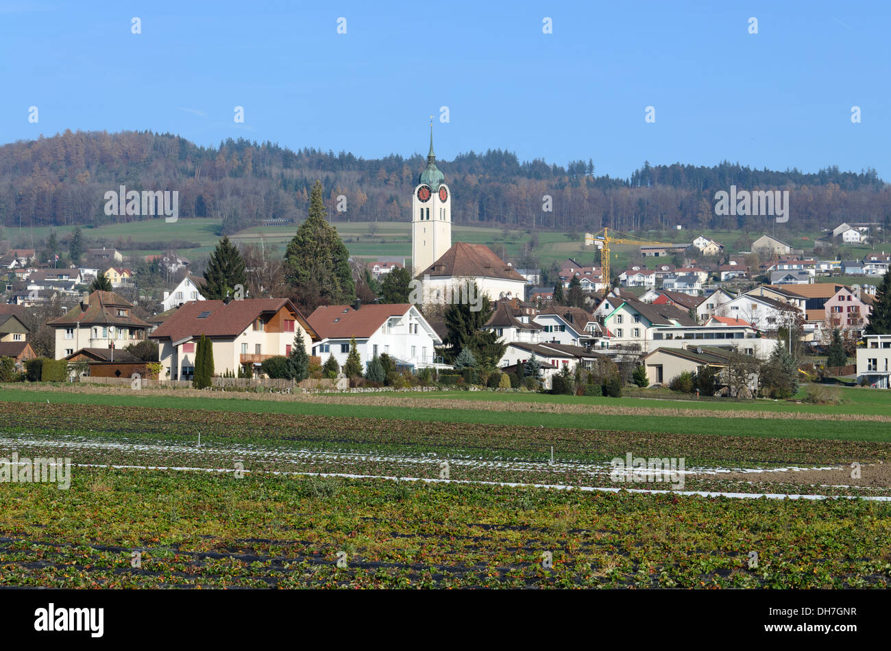 Swiss town Seengen Stock Photo - Alamy