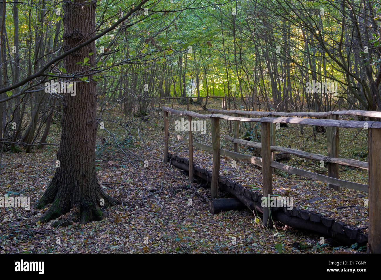 Log footbridge over a dry stream bed Stock Photo - Alamy