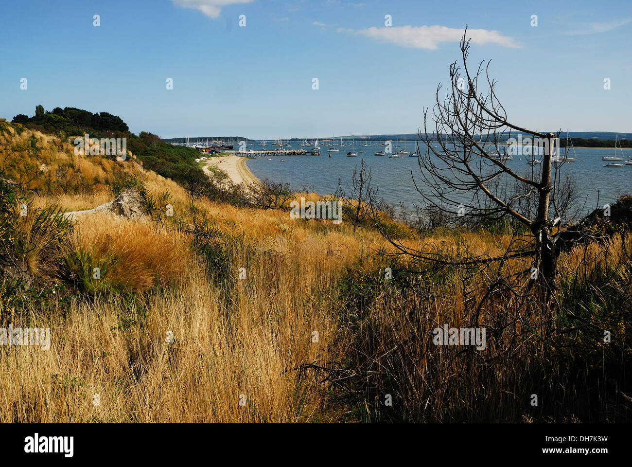 Ham common poole hi-res stock photography and images - Alamy