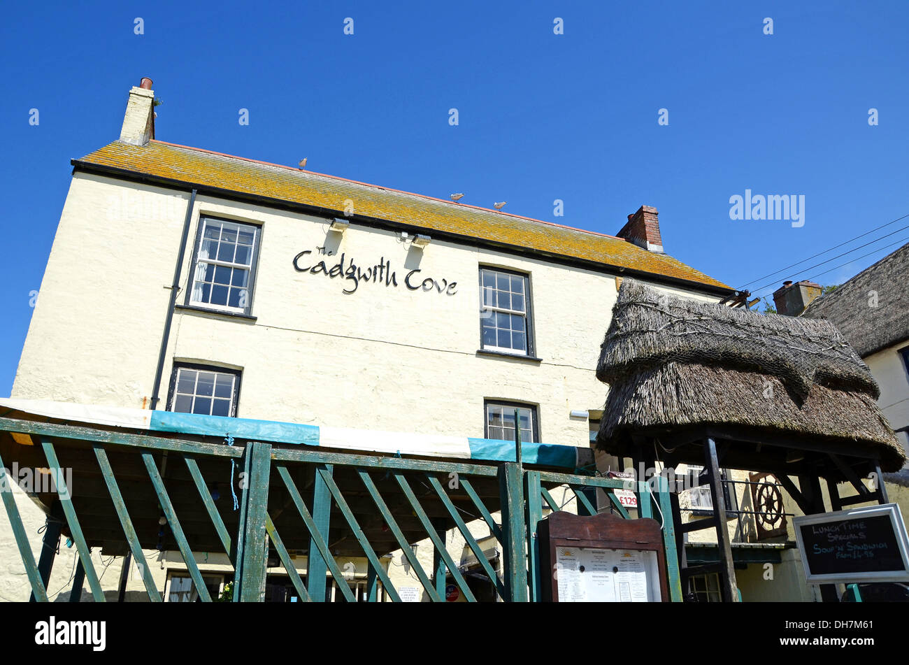 the " cadgwith cove inn " at cadgwith in cornwall, uk Stock Photo - Alamy