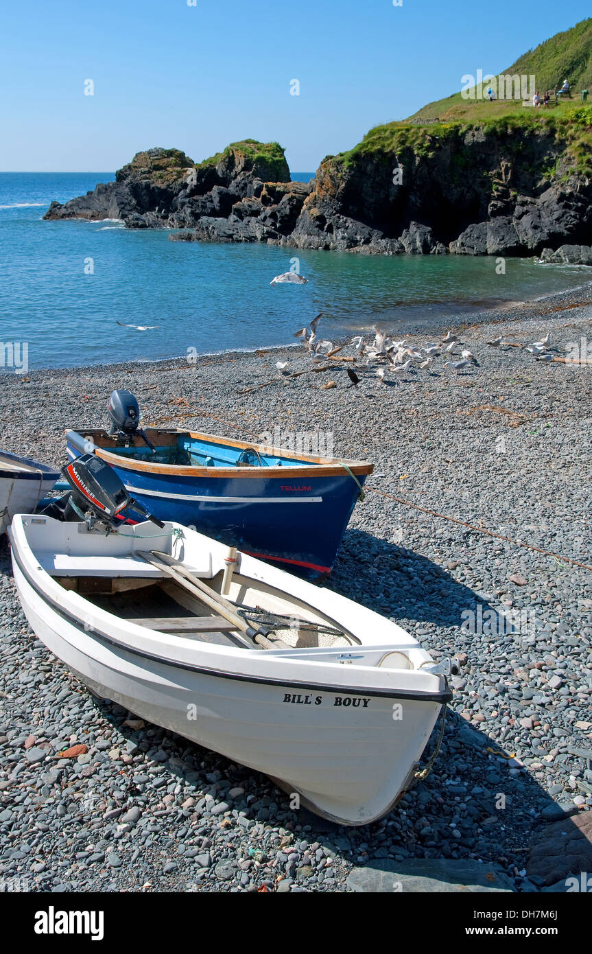 fishing boats on the beach at cadgwith in cornwall, uk Stock Photo - Alamy