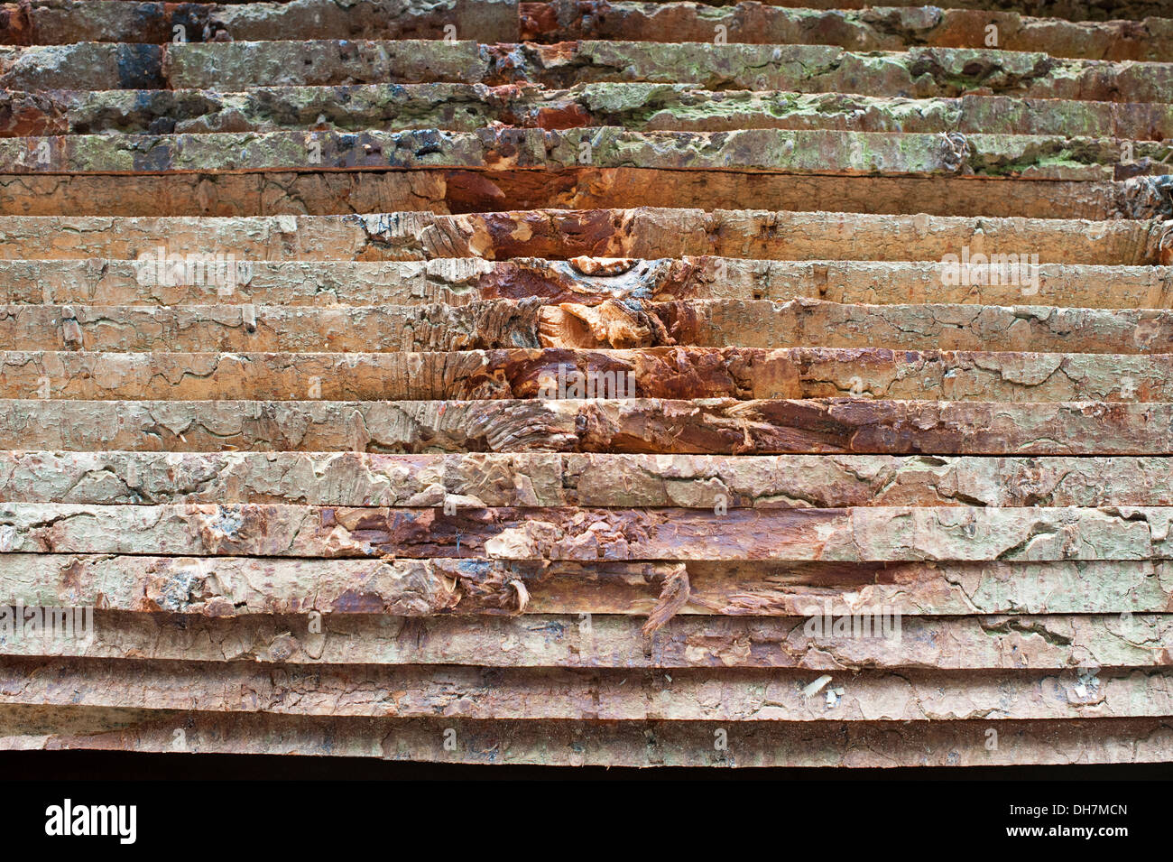 Sawn timber hi-res stock photography and images - Alamy