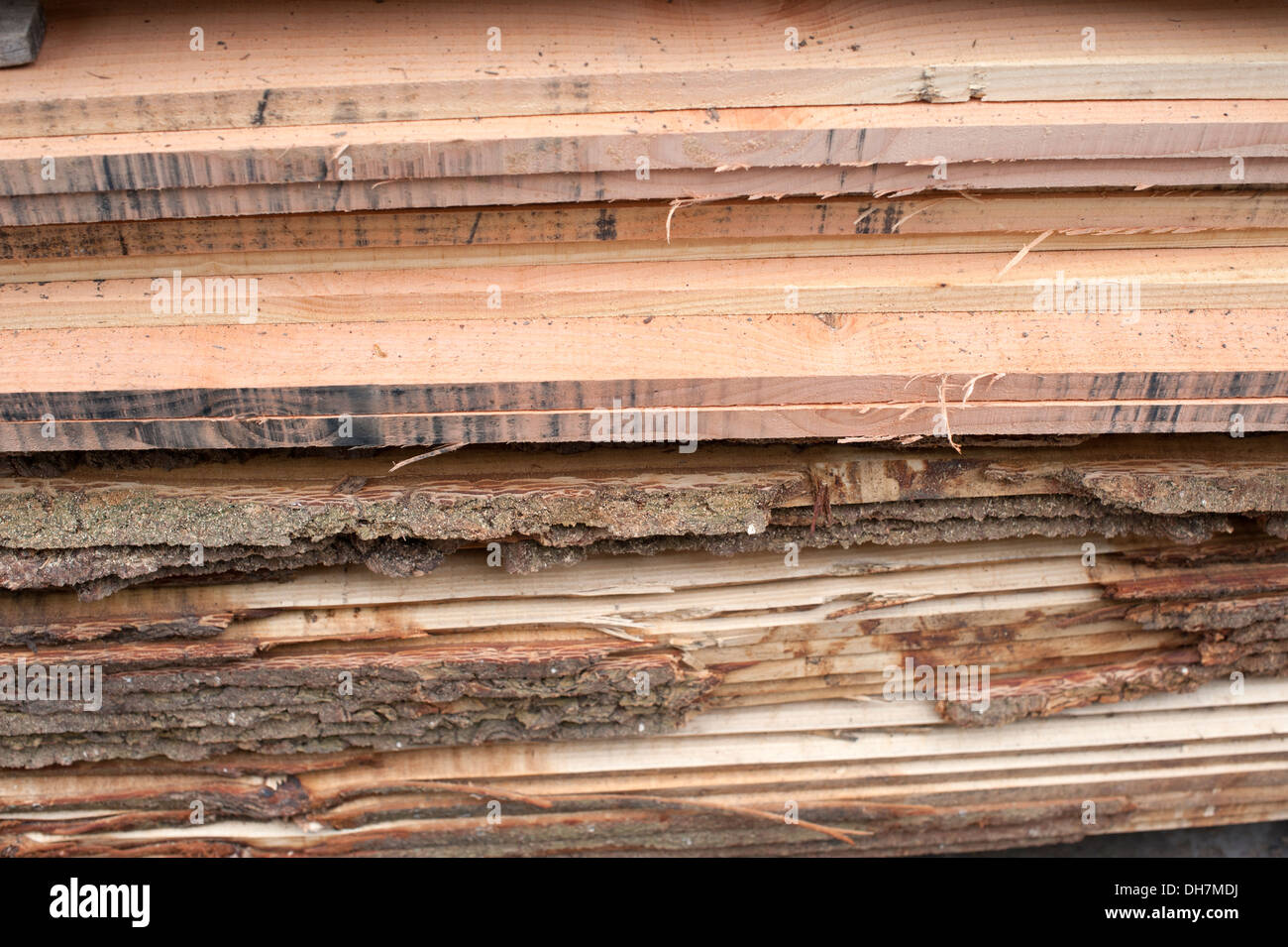 Tree trunk cut planks rough hi-res stock photography and images - Alamy