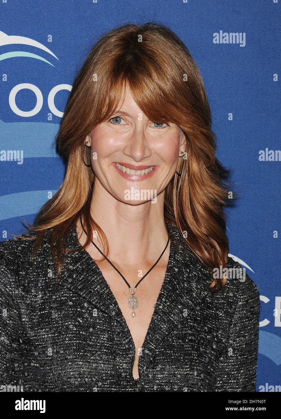 LAURA DERN US film actress in October 2013. Photo Jeffrey Mayer Stock ...