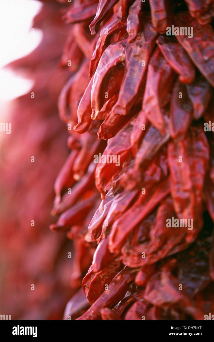 Southwest chile ristras hi-res stock photography and images - Alamy