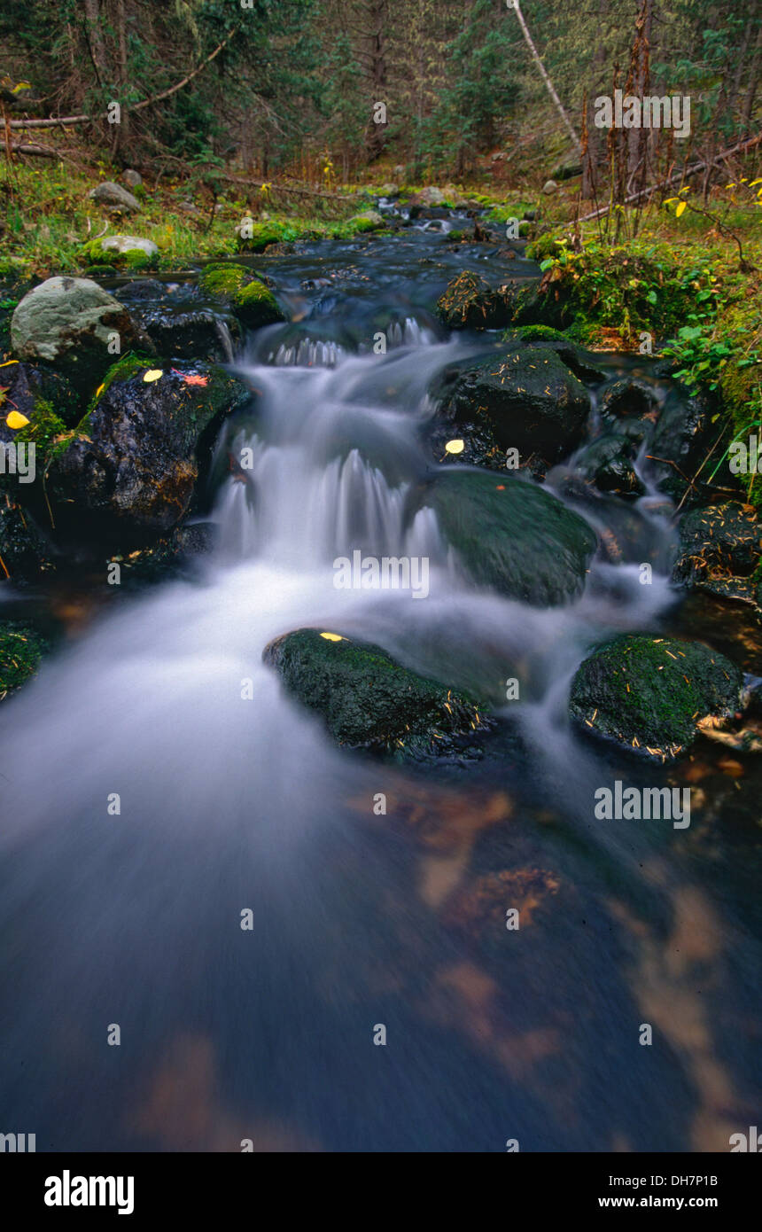 Small cascade going over rocks, Nambe River, Santa Fe National Forest ...