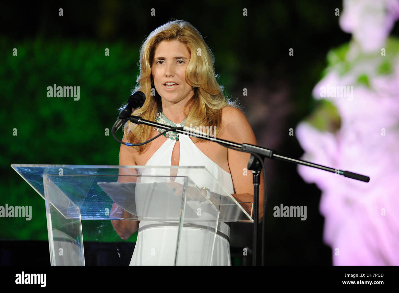 Susan Benedetto at Tony Bennett Benefit Gala/Concert for Exploring Arts ...