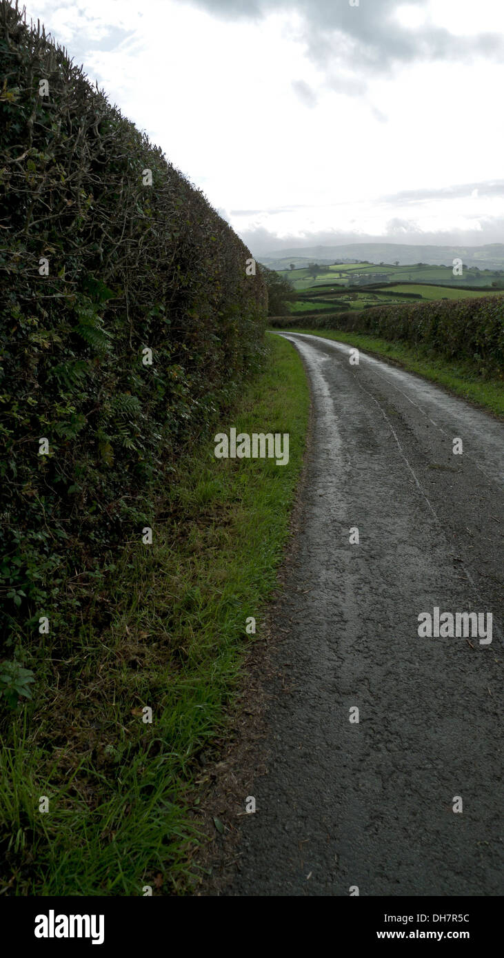 Trimmed hedge hi-res stock photography and images - Alamy