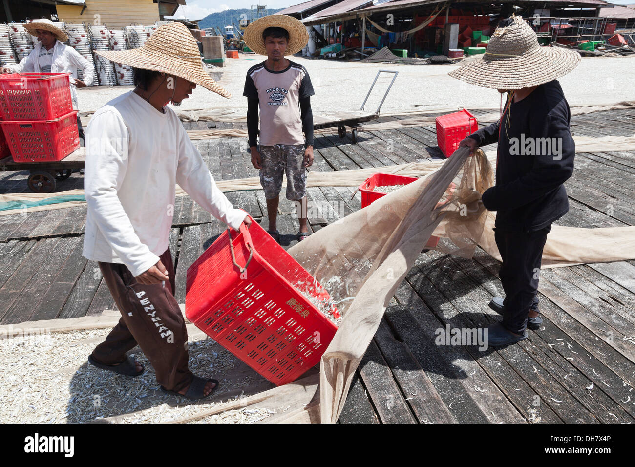 Fish processing hi-res stock photography and images - Alamy