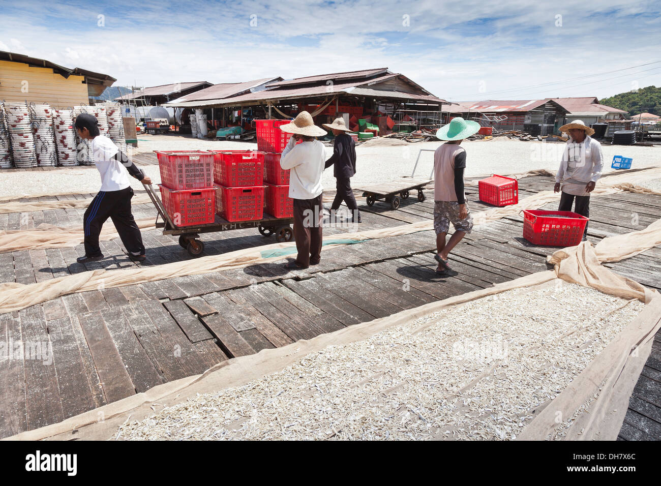 Fish processing hi-res stock photography and images - Alamy