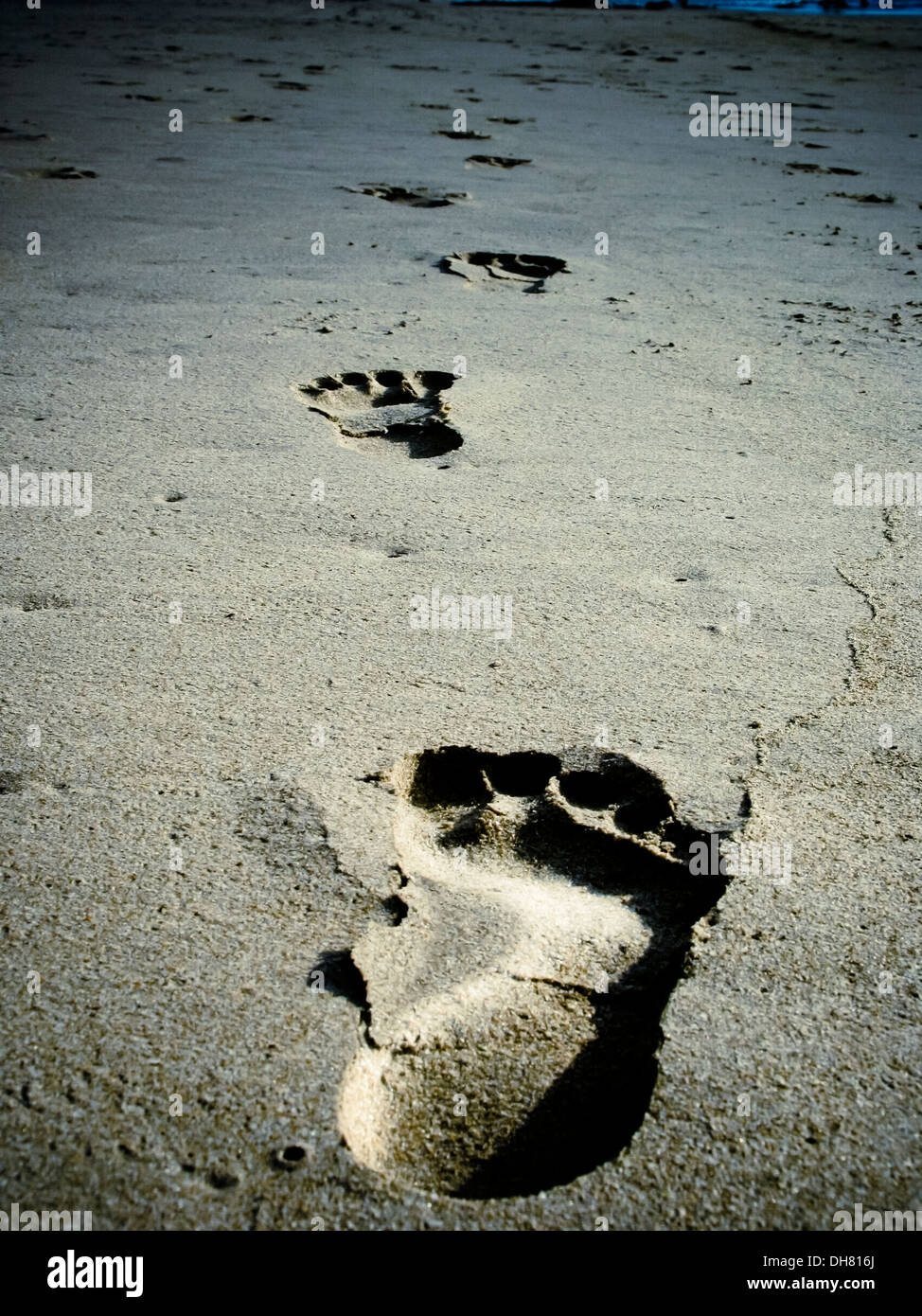 Footprints of a human being on sand at sea shore Stock Photo - Alamy