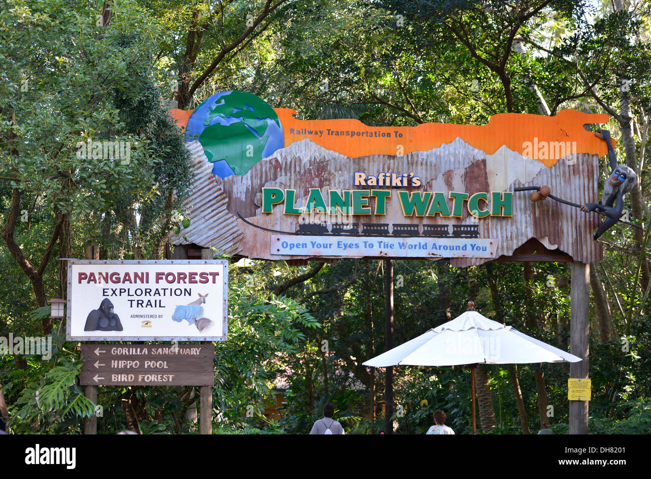 Pangani Forest Exploration Trail Rafiki's Planet Watch, Animal Kingdom ...