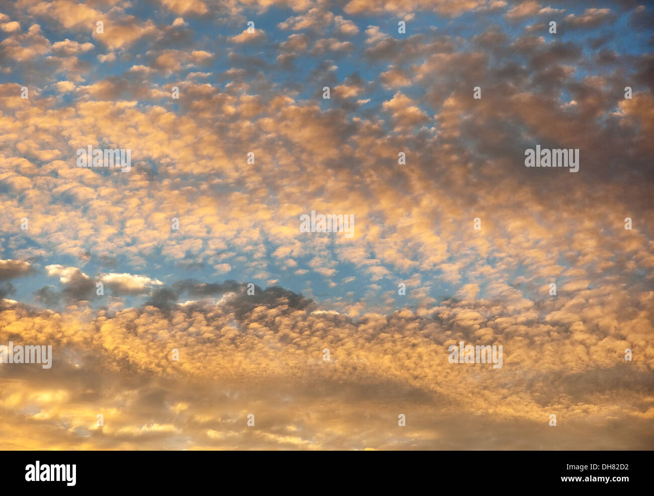 Hue of sky at dawn hi-res stock photography and images - Alamy