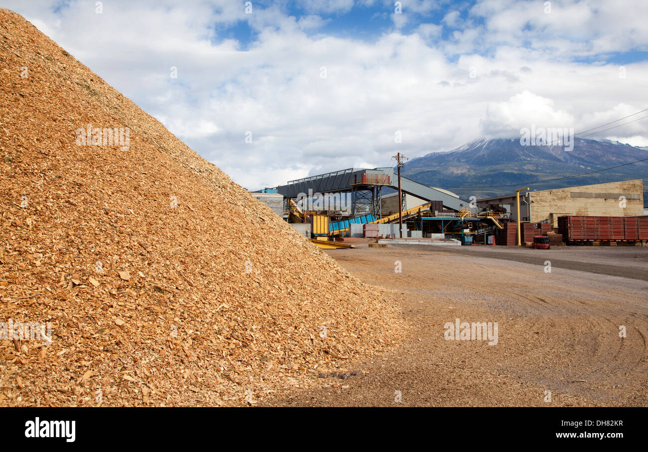 Saw chips hi-res stock photography and images - Alamy