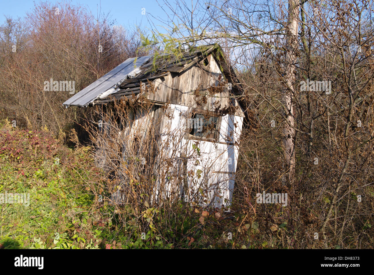 Ramshackle hut hi-res stock photography and images - Alamy