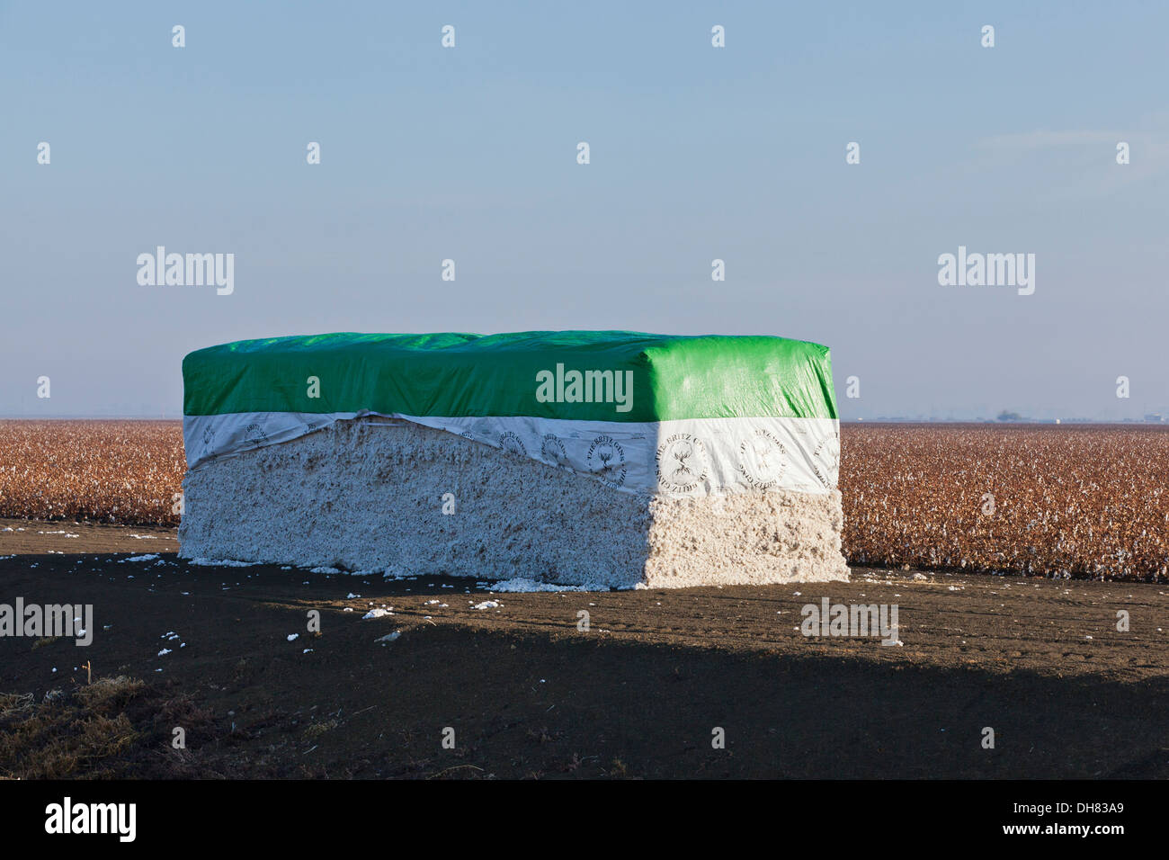 Cotton module - California USA Stock Photo - Alamy