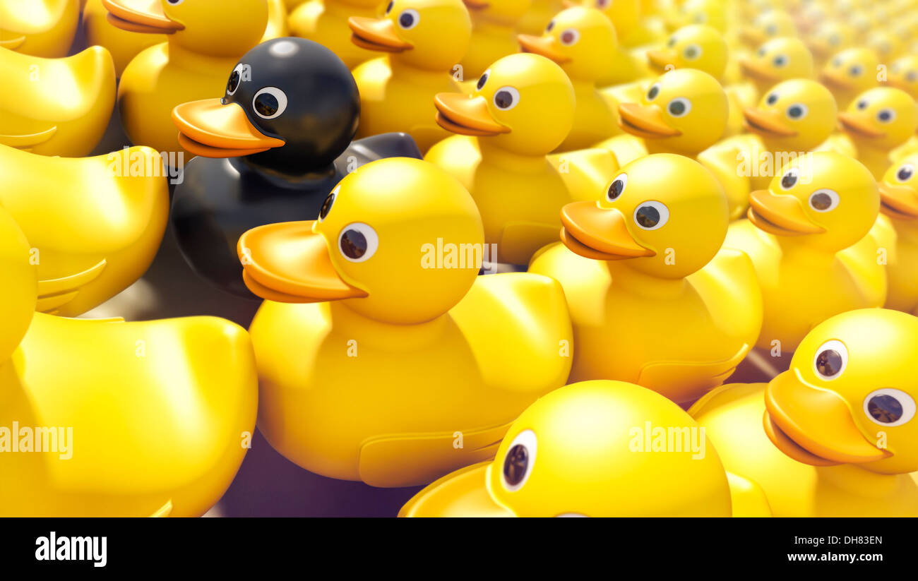 Yellow duckies hi-res stock photography and images - Alamy