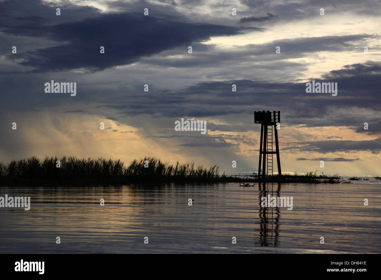Tonle Sap Lake Cambodia. Prek Toal bird sanctuary Stock Photo - Alamy