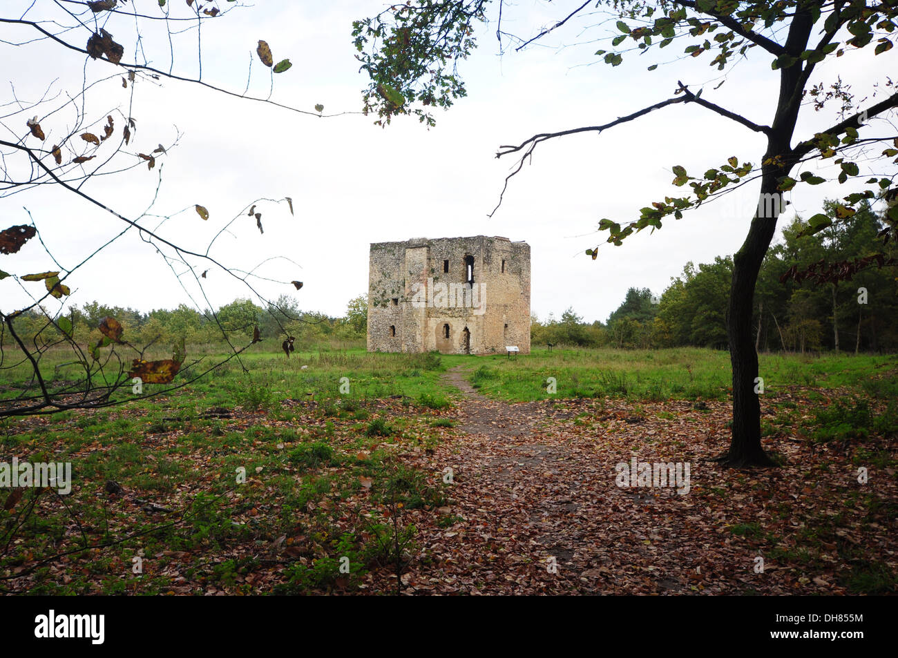 Rabbit warren hi-res stock photography and images - Alamy