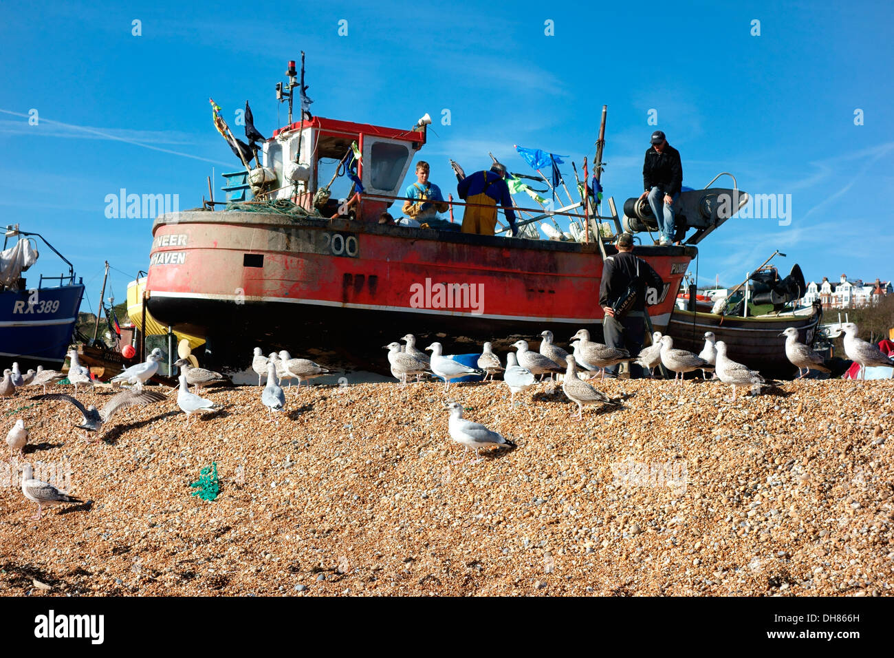 Seagull fishing boat beach hi-res stock photography and images - Alamy