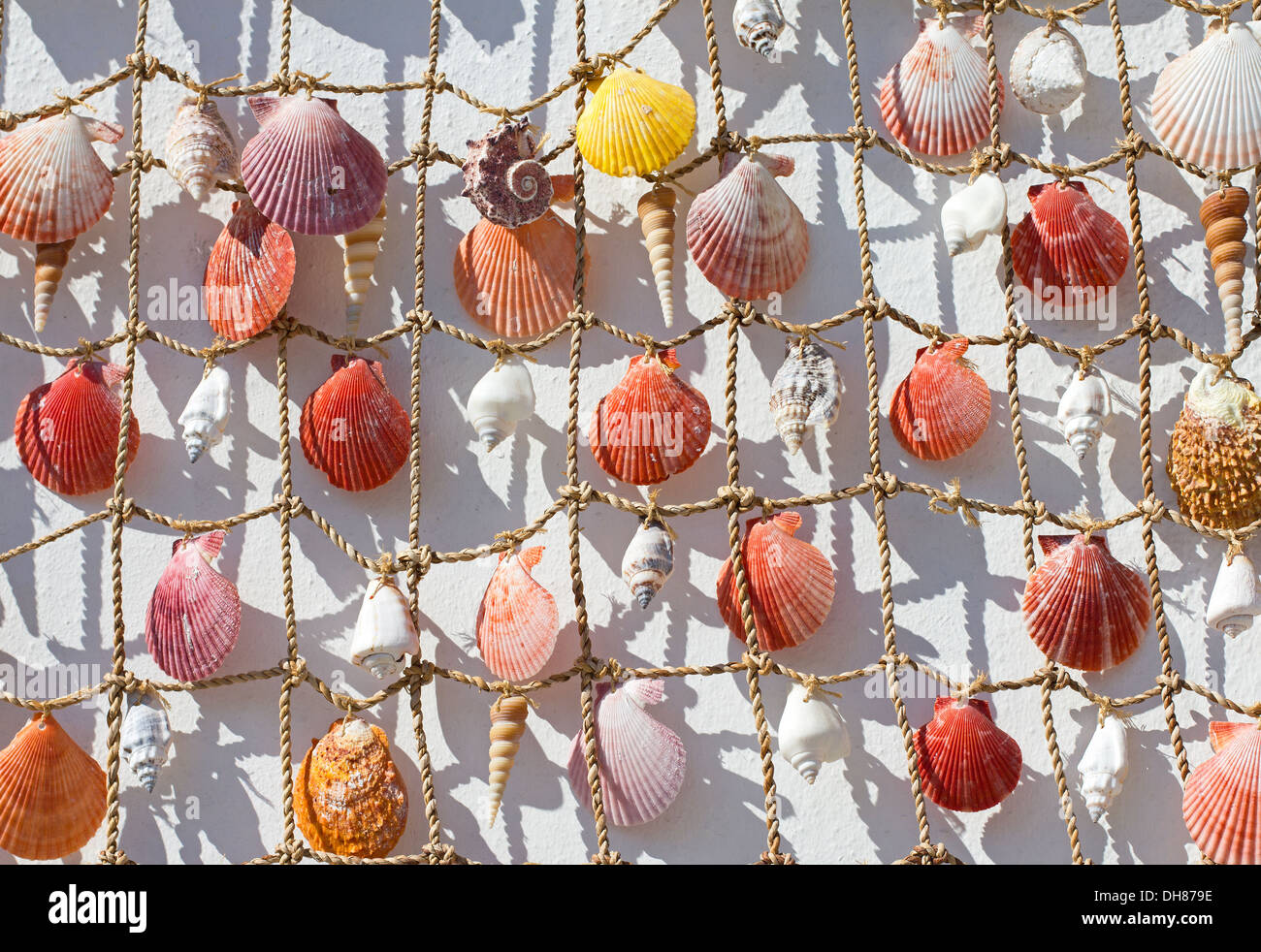 Decorative seashells hi-res stock photography and images - Alamy