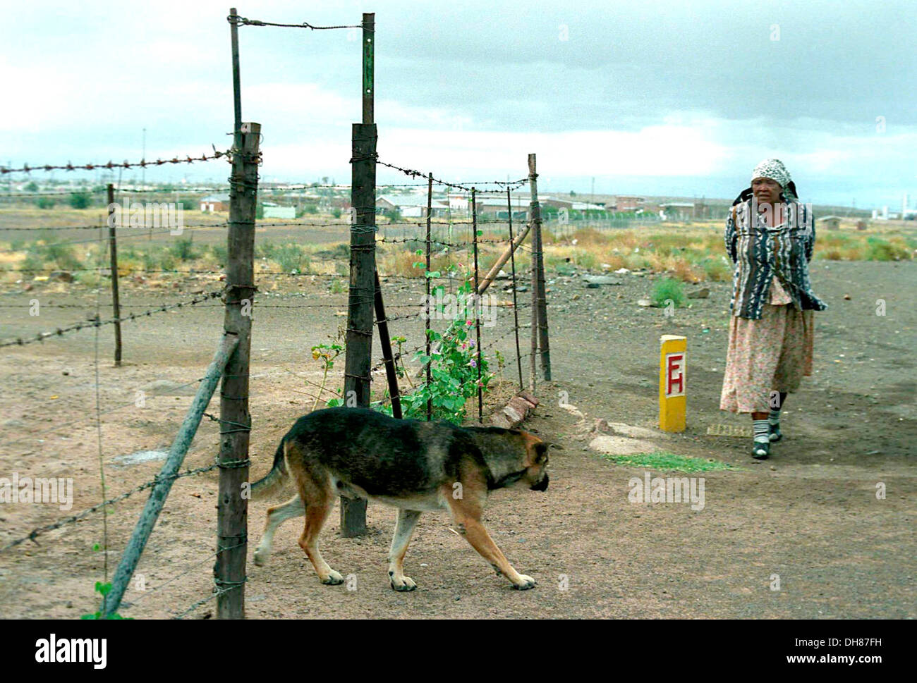 David kramer singer hi-res stock photography and images - Alamy