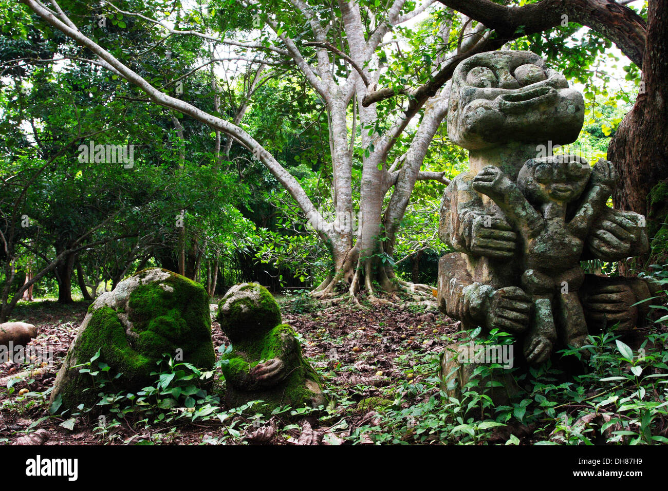 Part of the Osun- Oshogbo sacred grove. Oshogbo sacred forest Stock ...