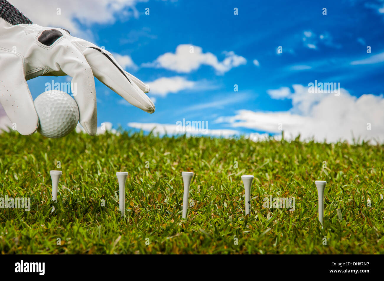 Golf stuff on green grass Stock Photo - Alamy