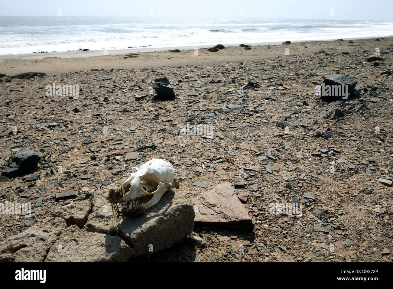 Nuwerus is a small town next to the N7 that goes up the West Coast into ...