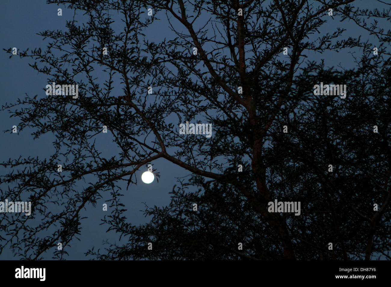 Nuwerus is a small town next to the N7 that goes up the West Coast into ...