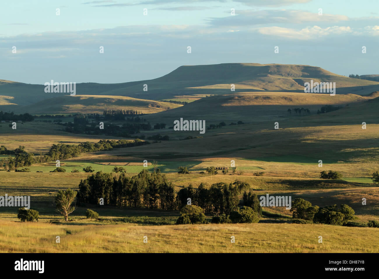 Nuwerus hi-res stock photography and images - Alamy