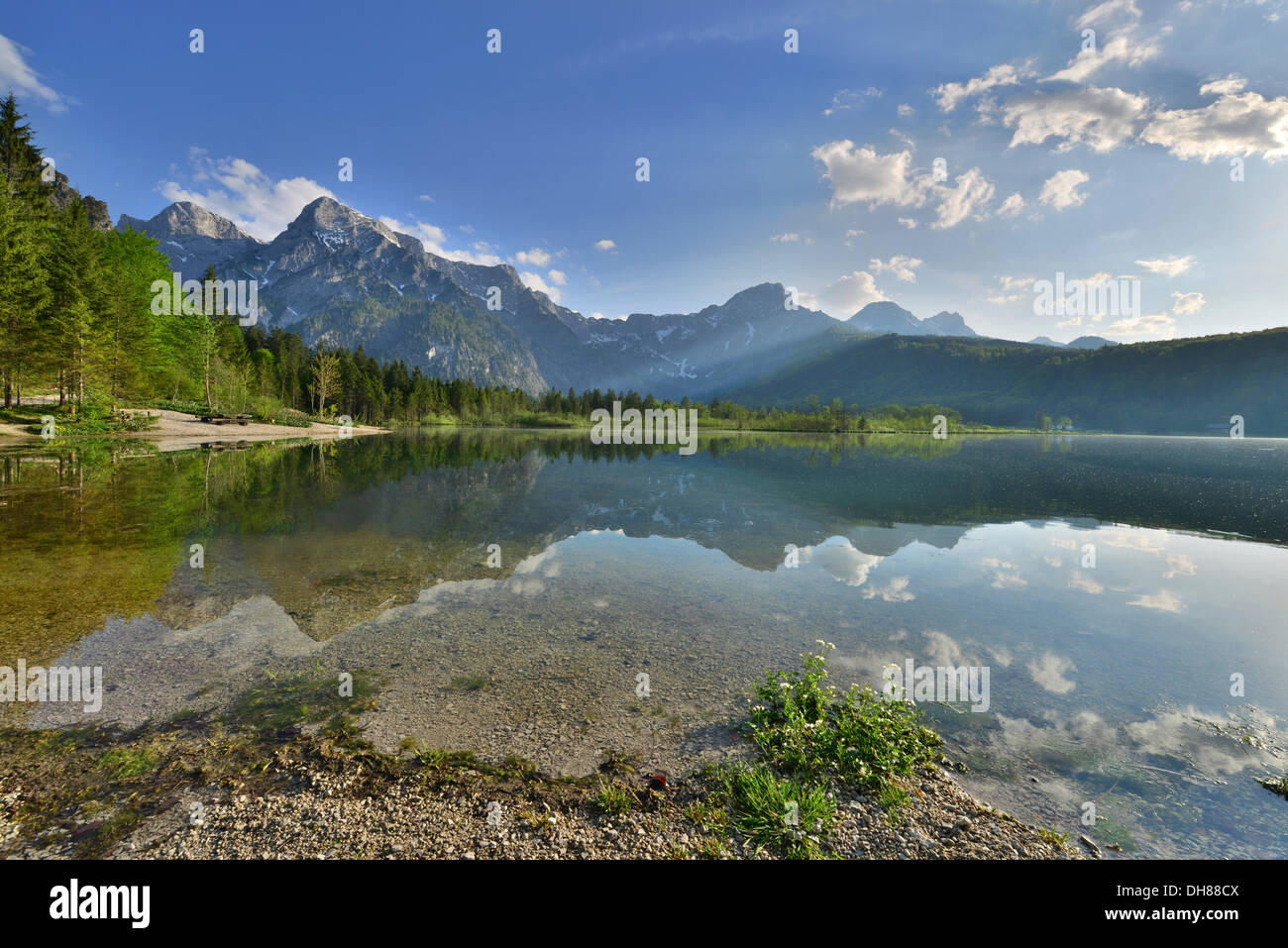 Almsee lake, Almsee, Upper Austria, Austria Stock Photo - Alamy