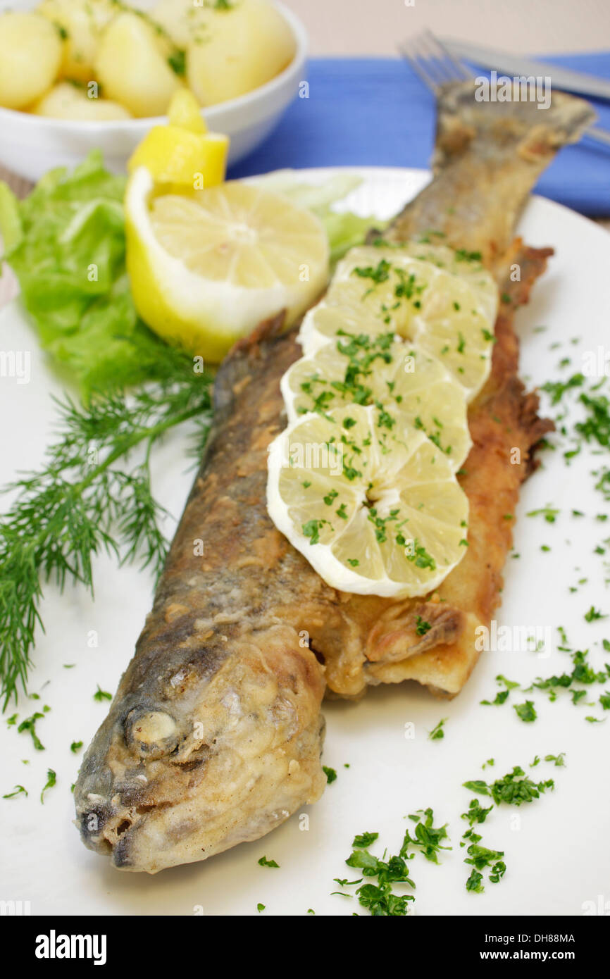 Salt lemons hi-res stock photography and images - Alamy