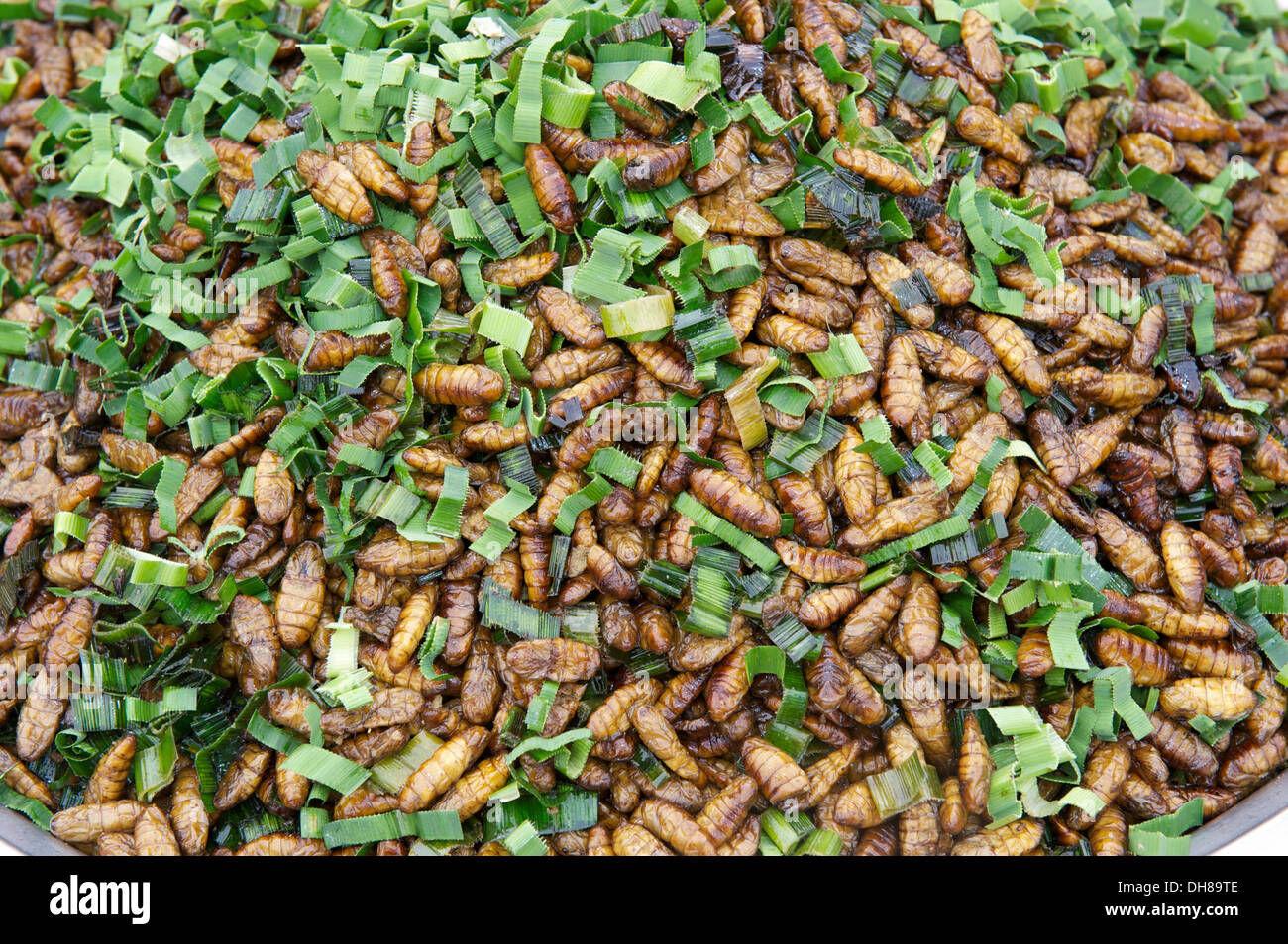Fried insect larvae at a market, Siem Reap, Siem Reap, Siem Reap ...