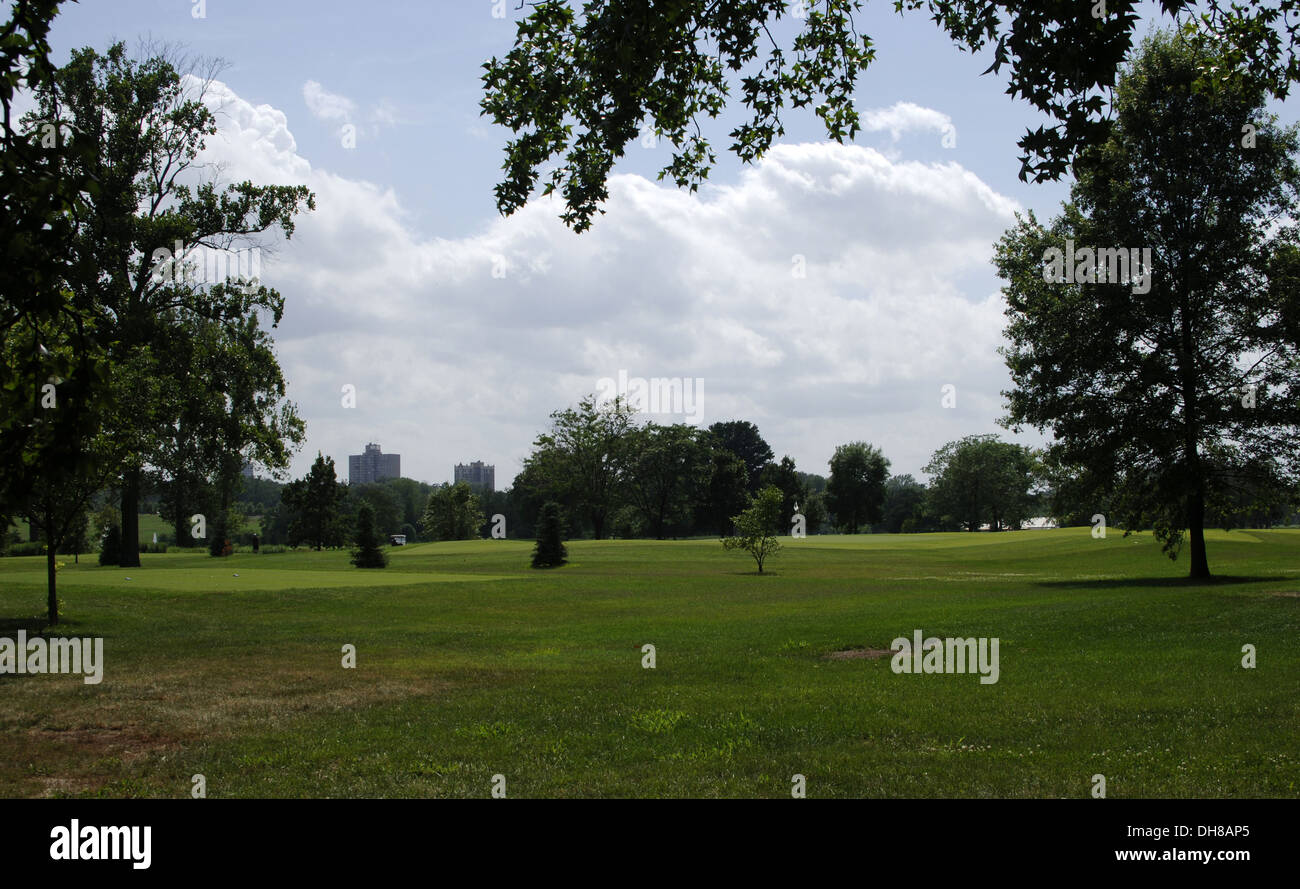 Louis forest hi-res stock photography and images - Alamy