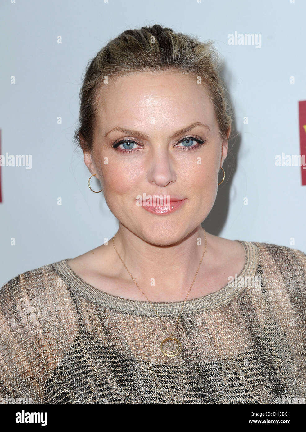 Elaine Hendrix 10th Annual Indian Film Festival of Los Angeles Opening ...