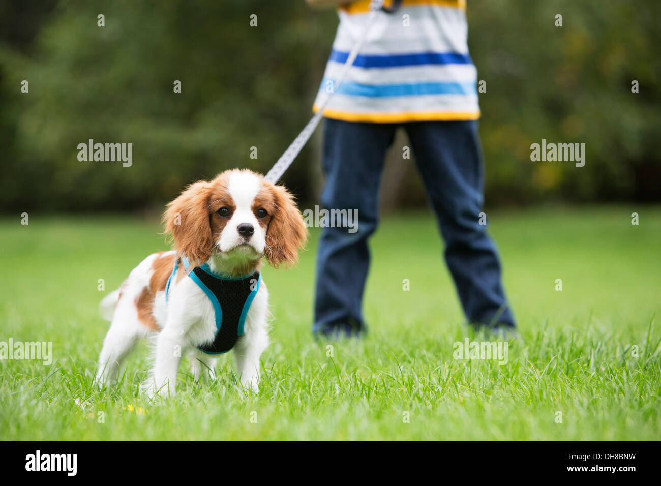 Taking lead hi-res stock photography and images - Alamy