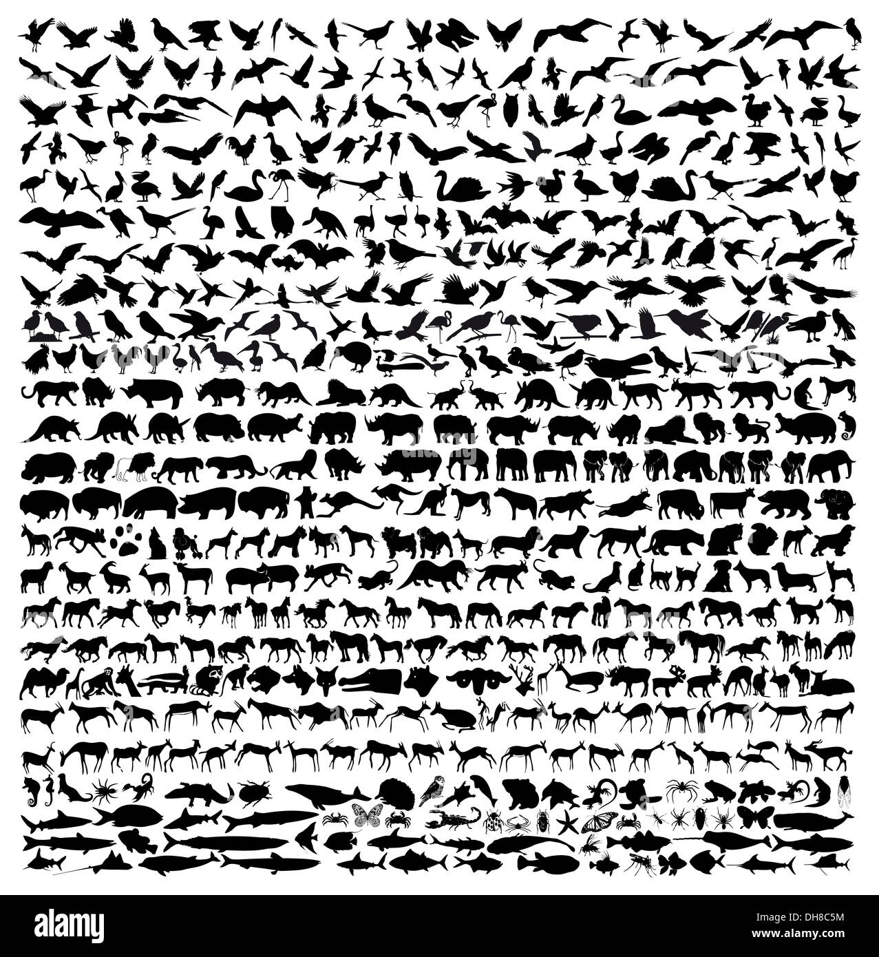 Animal silhouettes 2 Stock Photo - Alamy