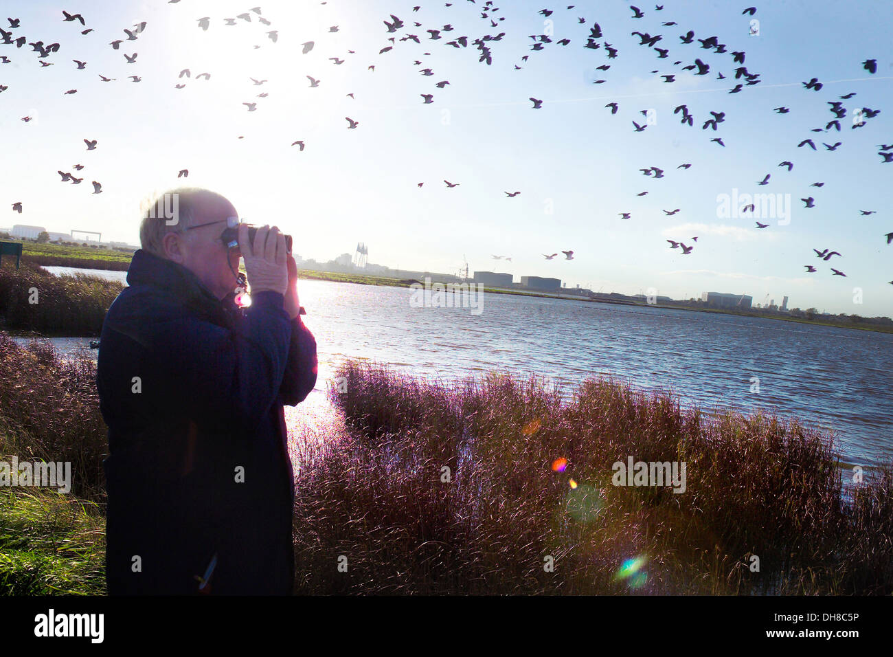 RSPB officer watching birds at Saltholme nature reserve Stock Photo - Alamy