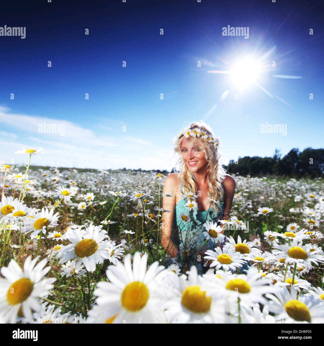beautiful girl in dress on the sunny daisy flowers field Stock Photo ...