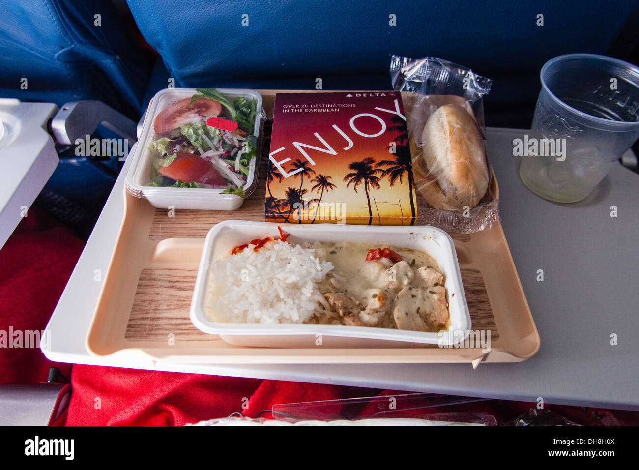 Delta Airlines Economy Class Food