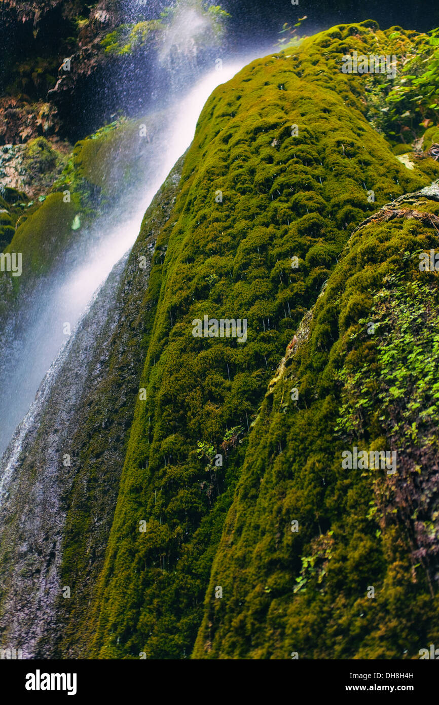 Tropical rainforest waterfall hi-res stock photography and images - Alamy