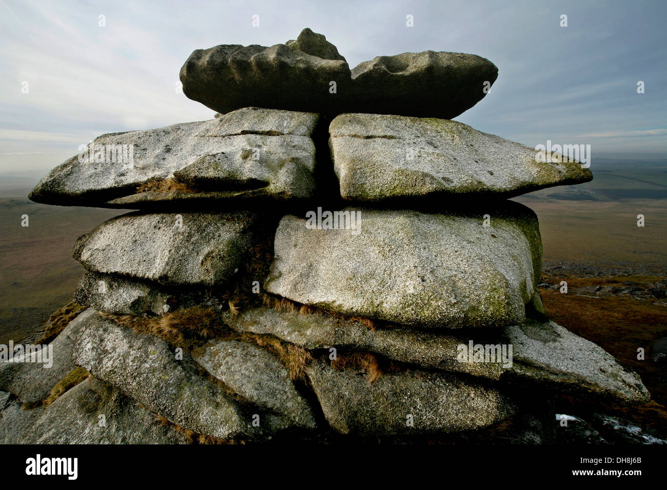 Roughtor rough tor shell like hi-res stock photography and images - Alamy