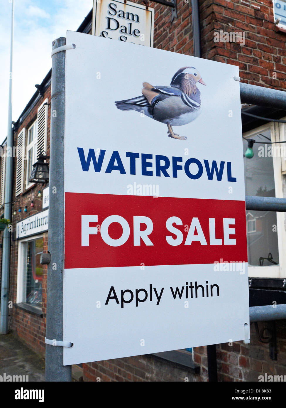 Waterfowl for sale sign UK Stock Photo - Alamy