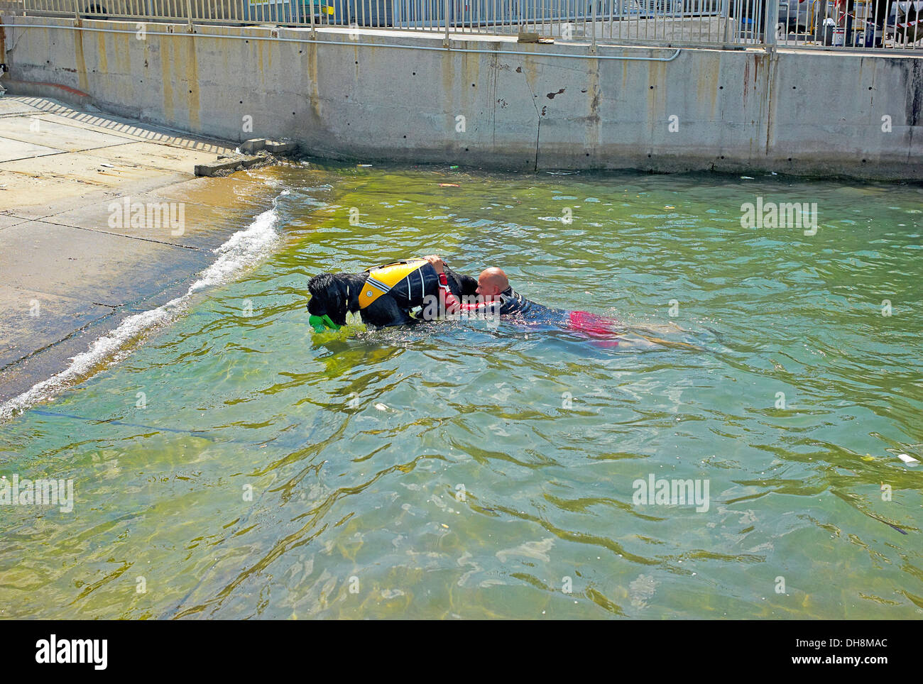 Sea rescue dog hi-res stock photography and images - Alamy